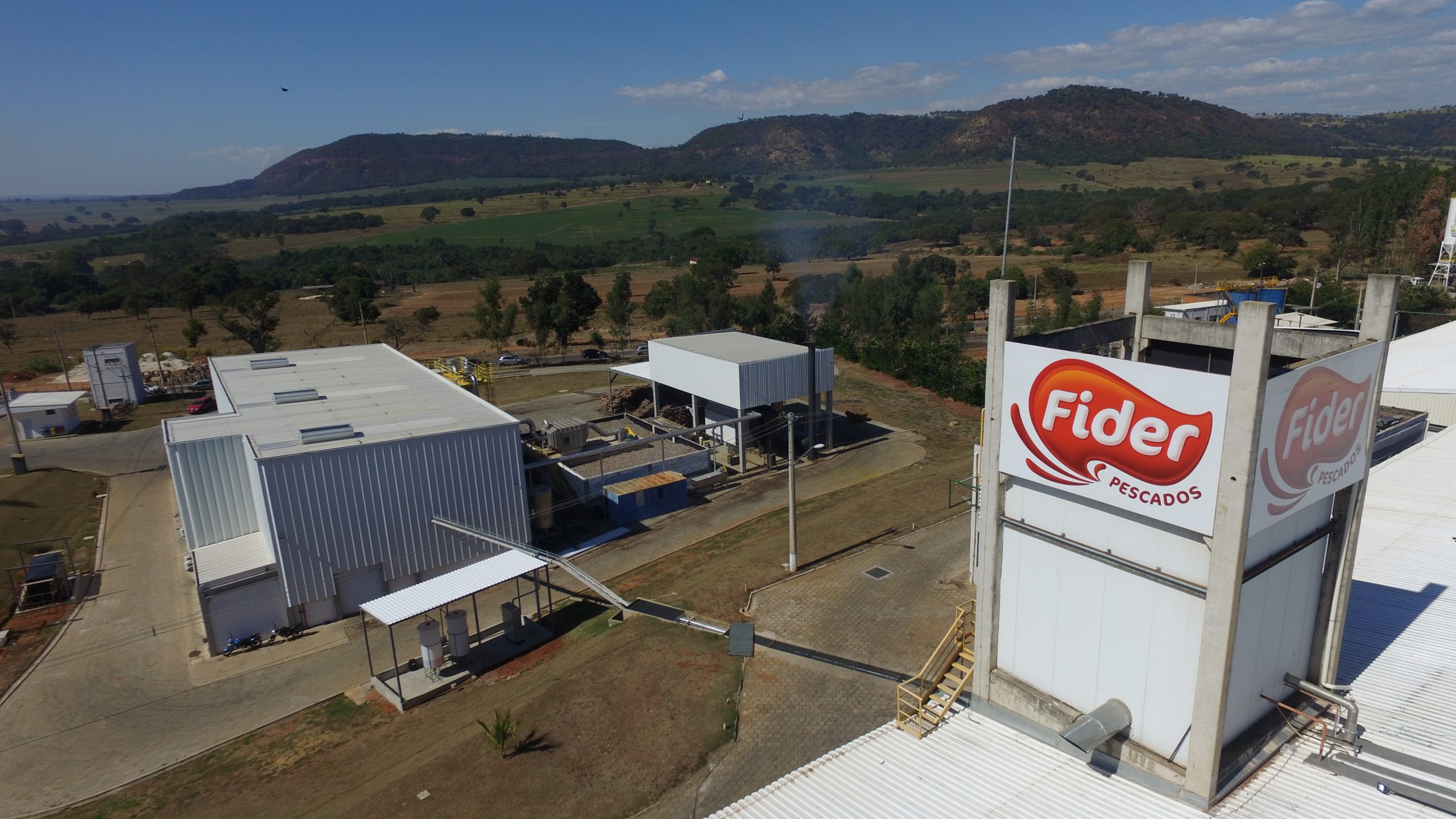 Fider Pescados mira crescimento das exportações de tilápia para os ...