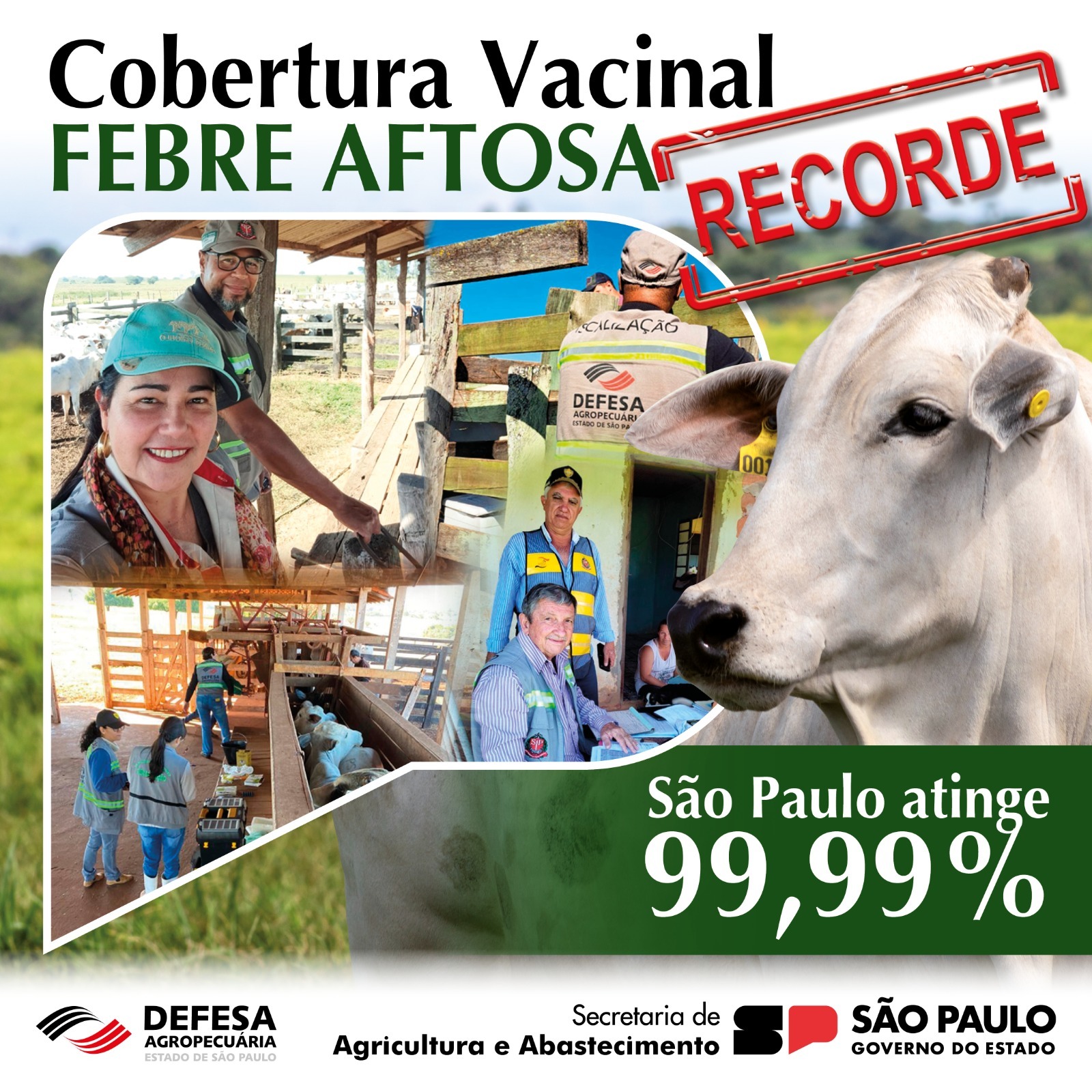 Febre Aftosa – Campanha de Maio de 2023 bate recorde de cobertura ...